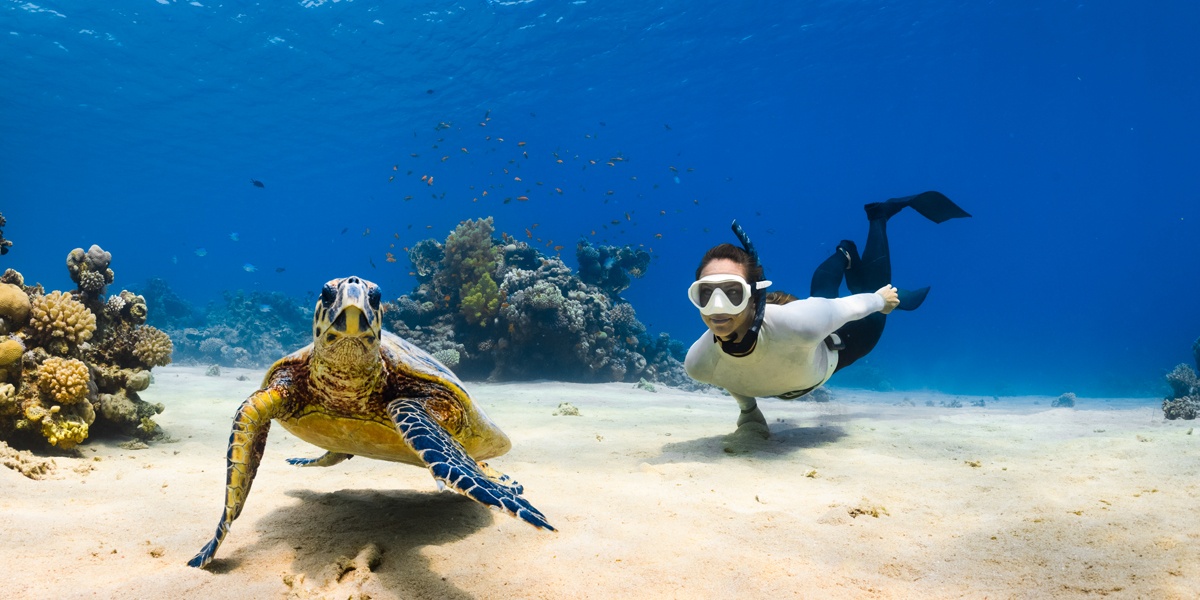 Tuna Bay Island Resort - Travo Malaysia